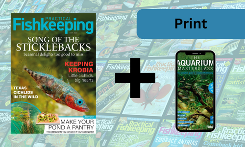 Practical Fishkeeping Membership - Practical Fishkeeping