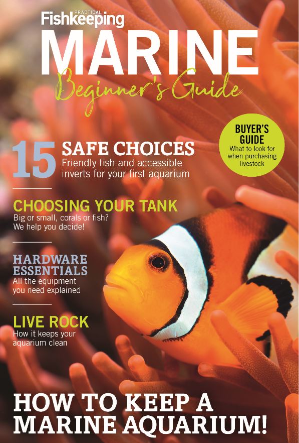 Practical Fishkeeping Membership - Practical Fishkeeping