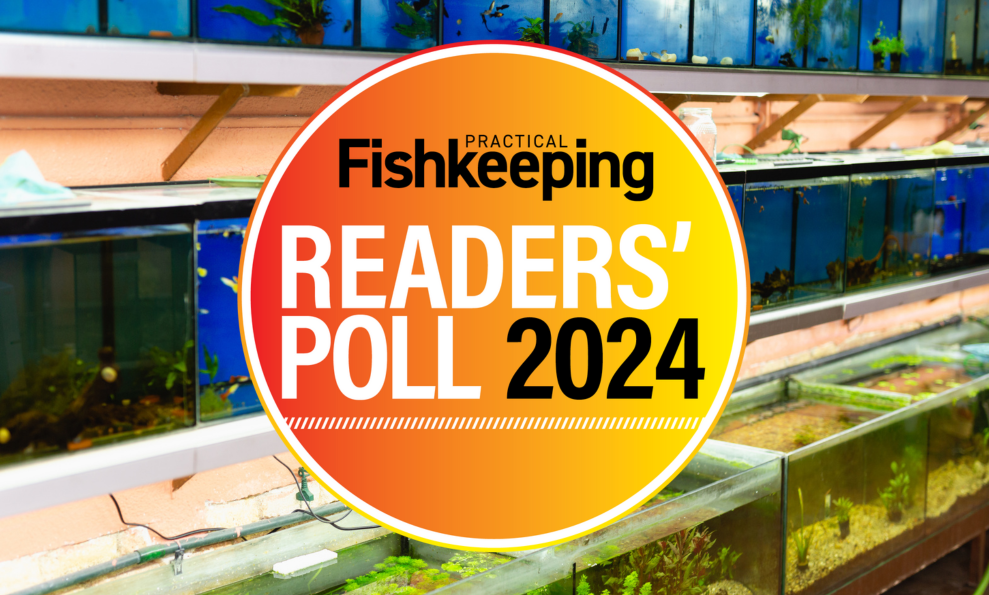 Submitted - Practical Fishkeeping