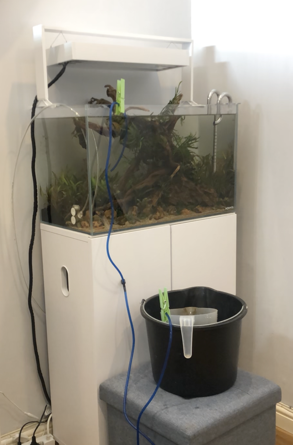 A guide to acclimatising your new fish or shrimp - Practical Fishkeeping