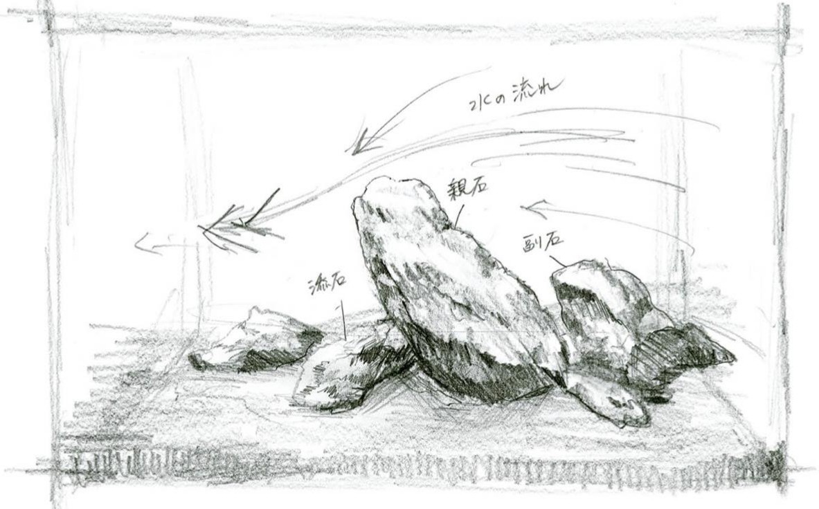 A guide to contest aquascaping- Hardscape design - Practical Fishkeeping