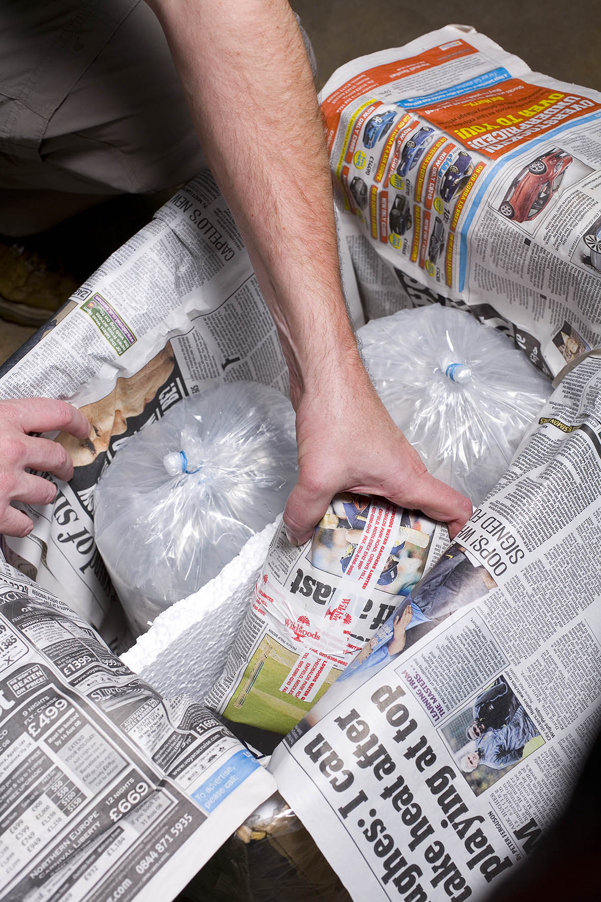 The Best Places to Buy Live Aquarium Fish - Practical Fishkeeping