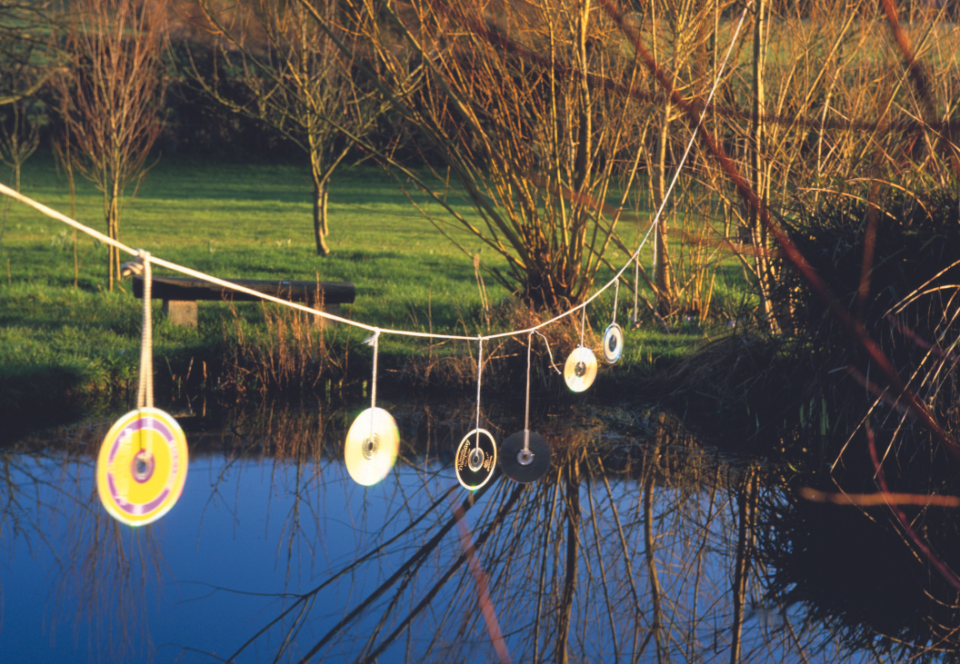 What is Eating your Pond Fish and How to Stop It - Practical Fishkeeping