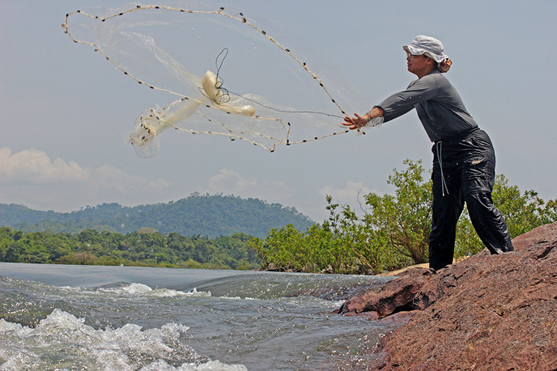 How do fish get from rivers into your aquarium? - Practical Fishkeeping