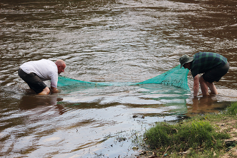 How do fish get from rivers into your aquarium? - Practical Fishkeeping