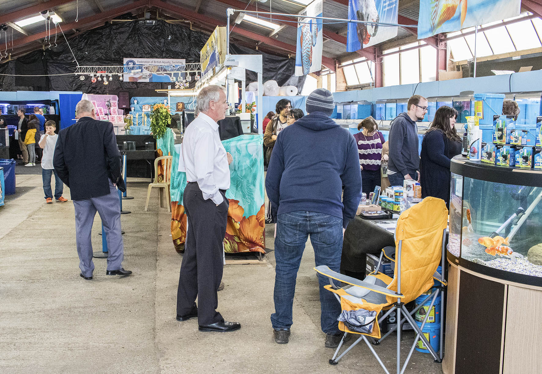 The Best Places to Buy Live Aquarium Fish - Practical Fishkeeping