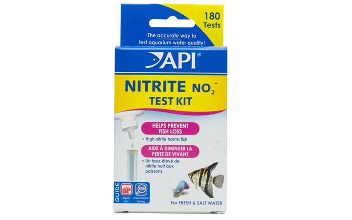 Practical Fishkeeping Diploma - Week 1, Day 3 - Practical Fishkeeping