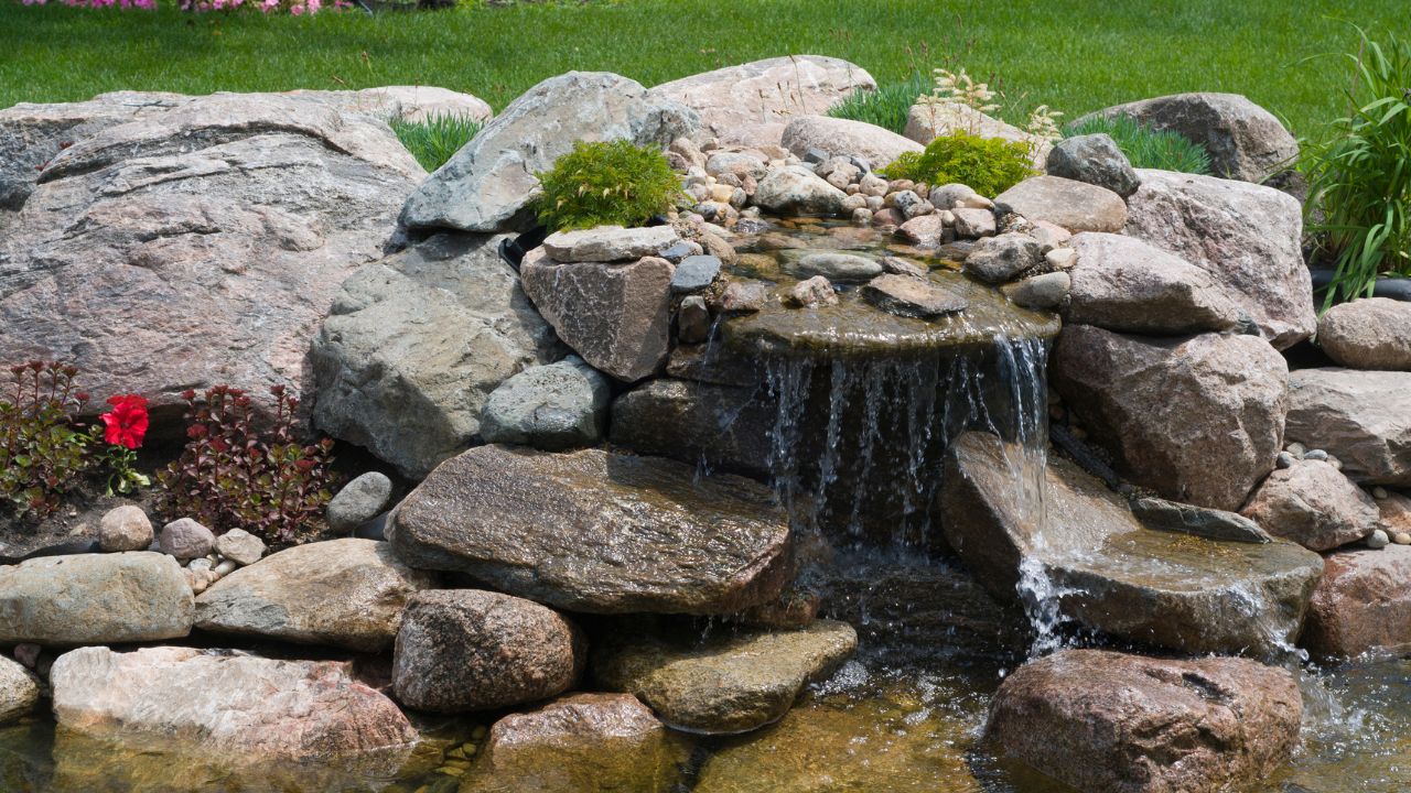 How to avoid summer pond problems - Practical Fishkeeping