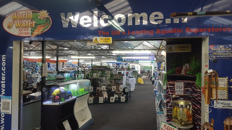 Fish dead in local Swindon shop after suspected sabotage poisoning ...