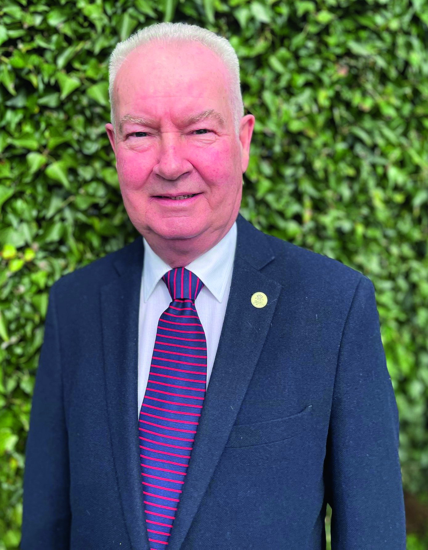 Your guide to Paddington Bear 50p coins - Collectors Club of Great Britain