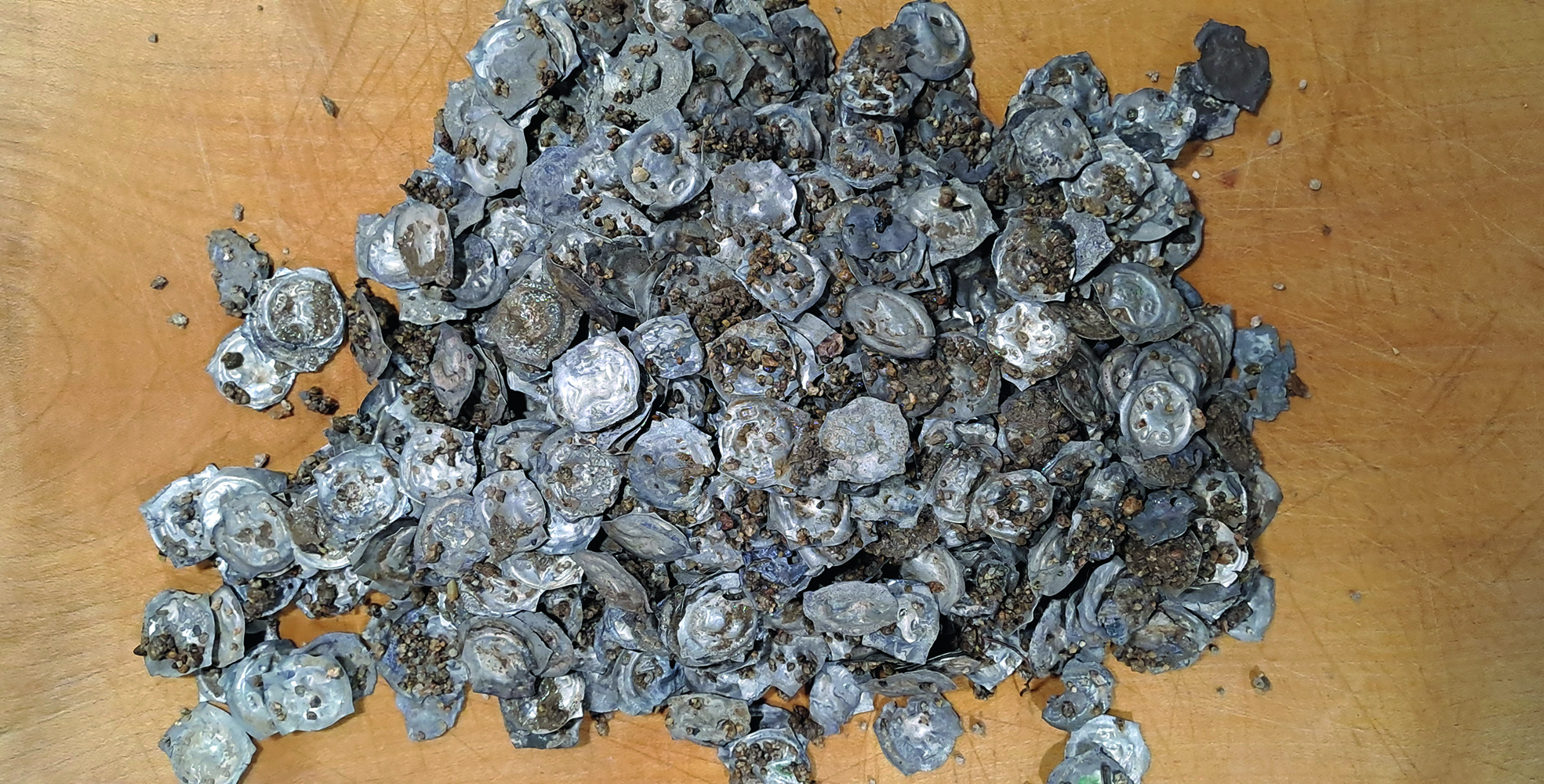 Your guide to Hammered Coins - Collectors Club of Great Britain