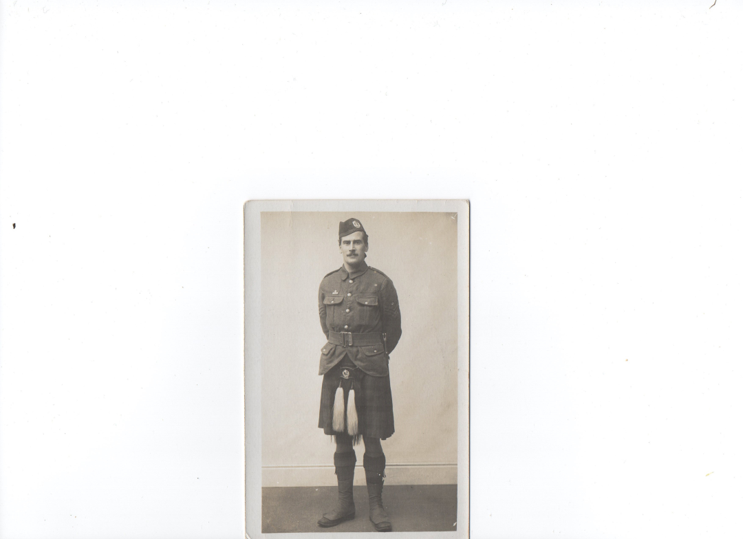 Patersons' farewell - Family Tree