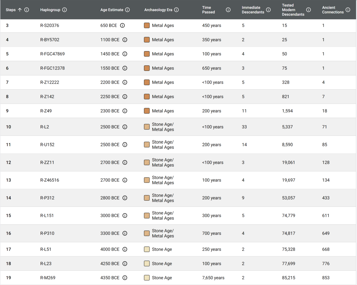 Discover Your Ancestral Path - Family Tree