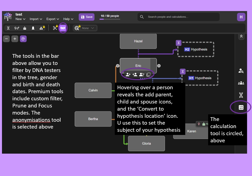 Family History, Genealogy & DNA News - Family Tree
