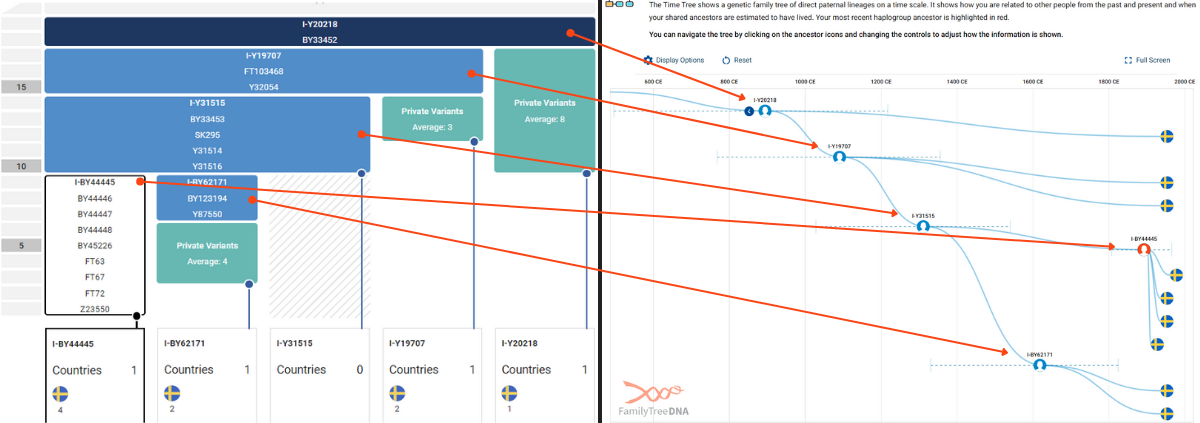 Time Tree: A New Discover Feature - Family Tree