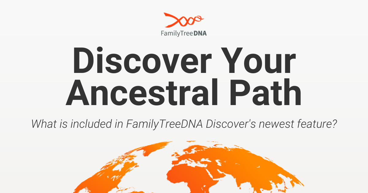 Discover Your Ancestral Path - Family Tree