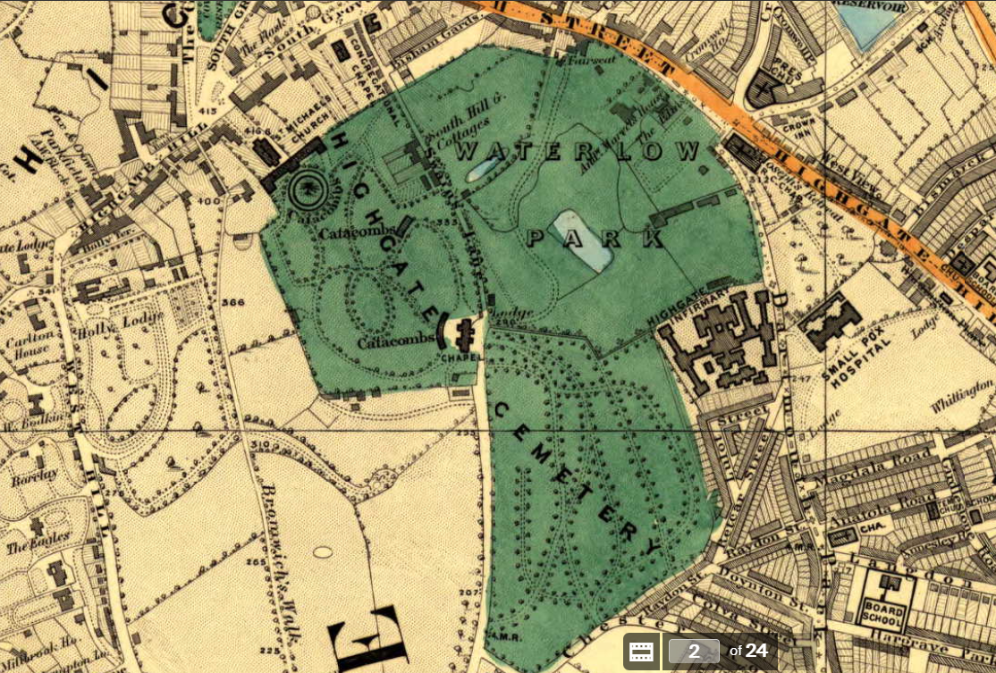 Family History, Genealogy & DNA News - Family Tree