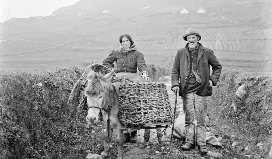 3 top free websites for tracing Irish ancestors - Family Tree
