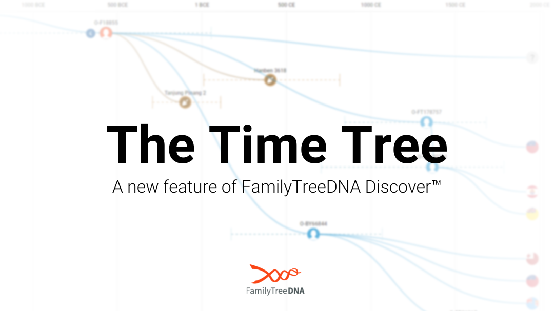 Time Tree: A New Discover Feature - Family Tree