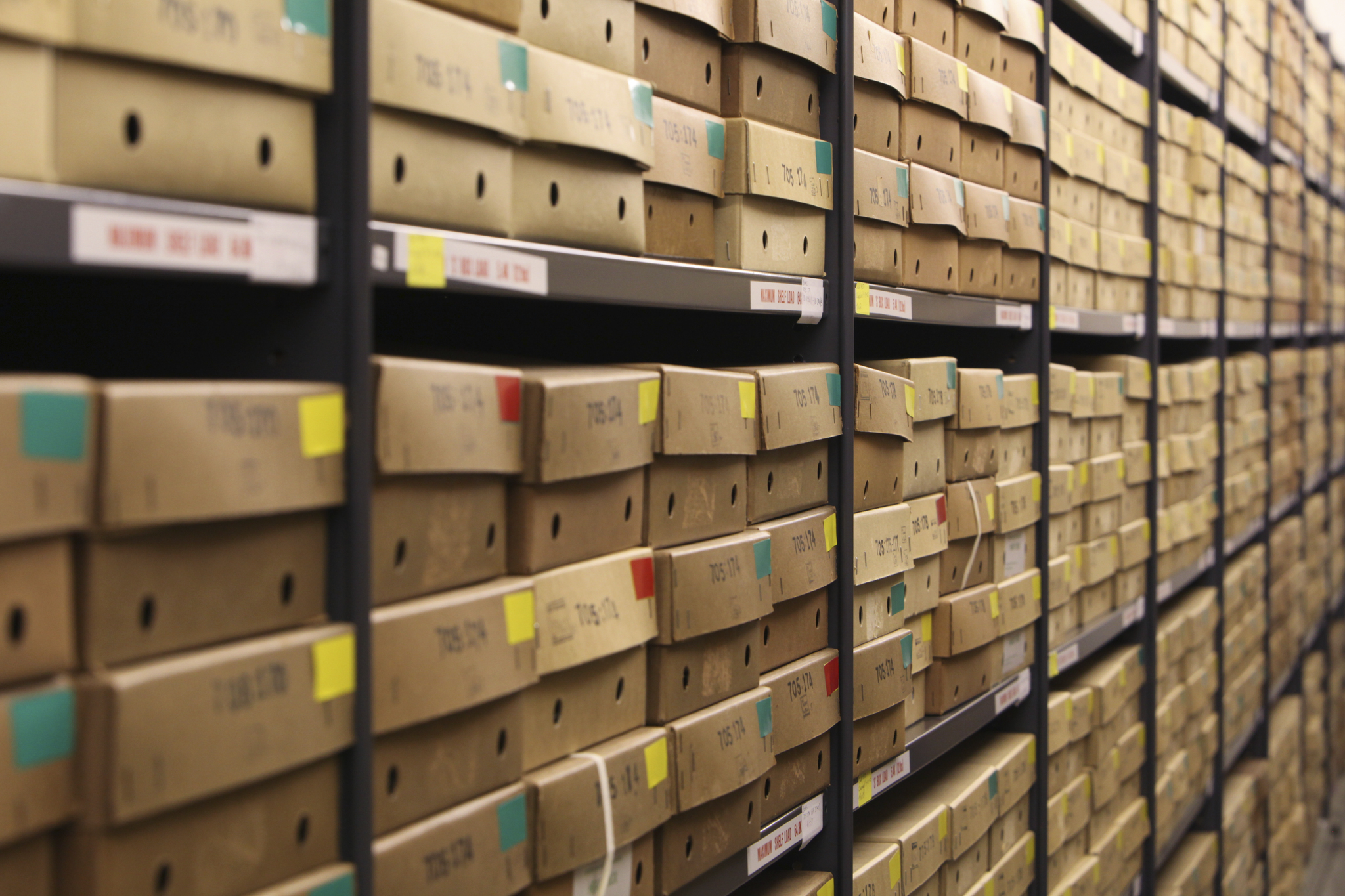 Explore Your Archive week: 28 November to 6 December 2022 - Family Tree