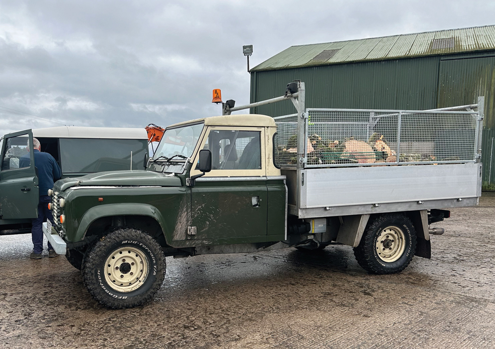 Gone logging - Land Rover Monthly