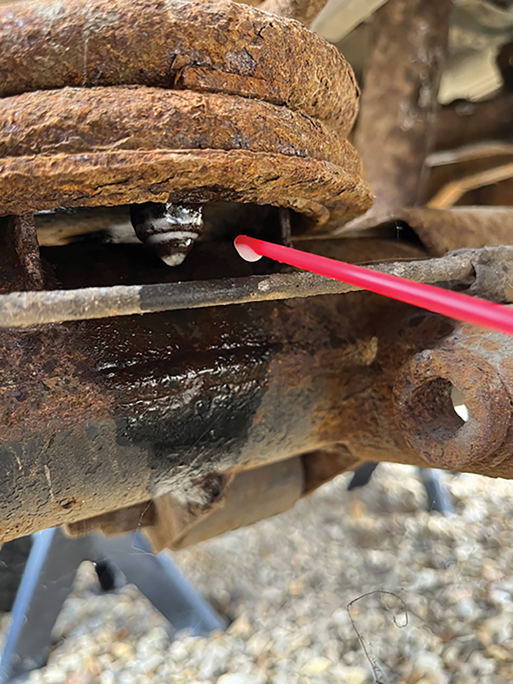 It’s spring time - Land Rover Monthly