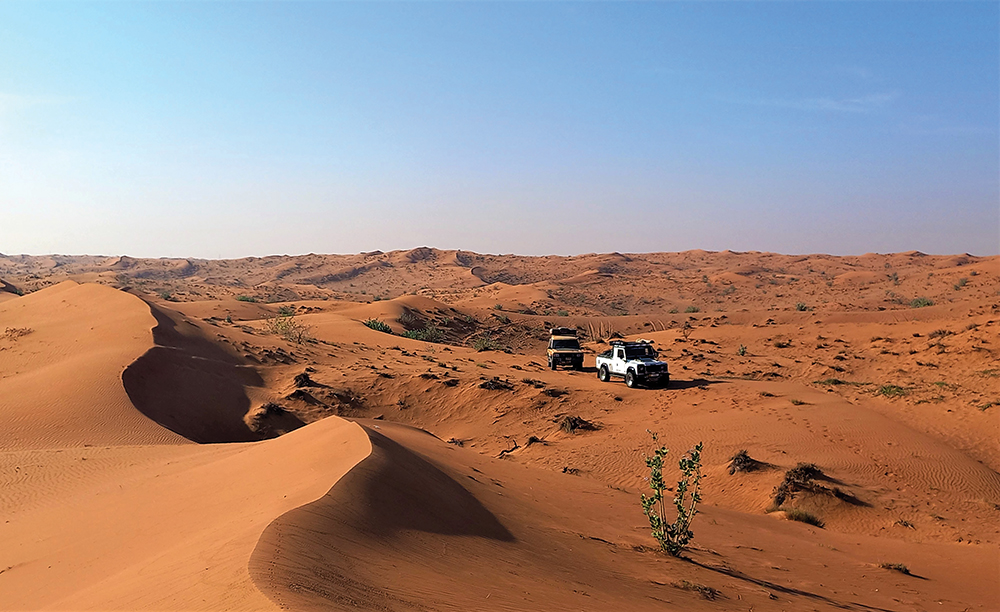 From Desert to Ocean - Land Rover Monthly