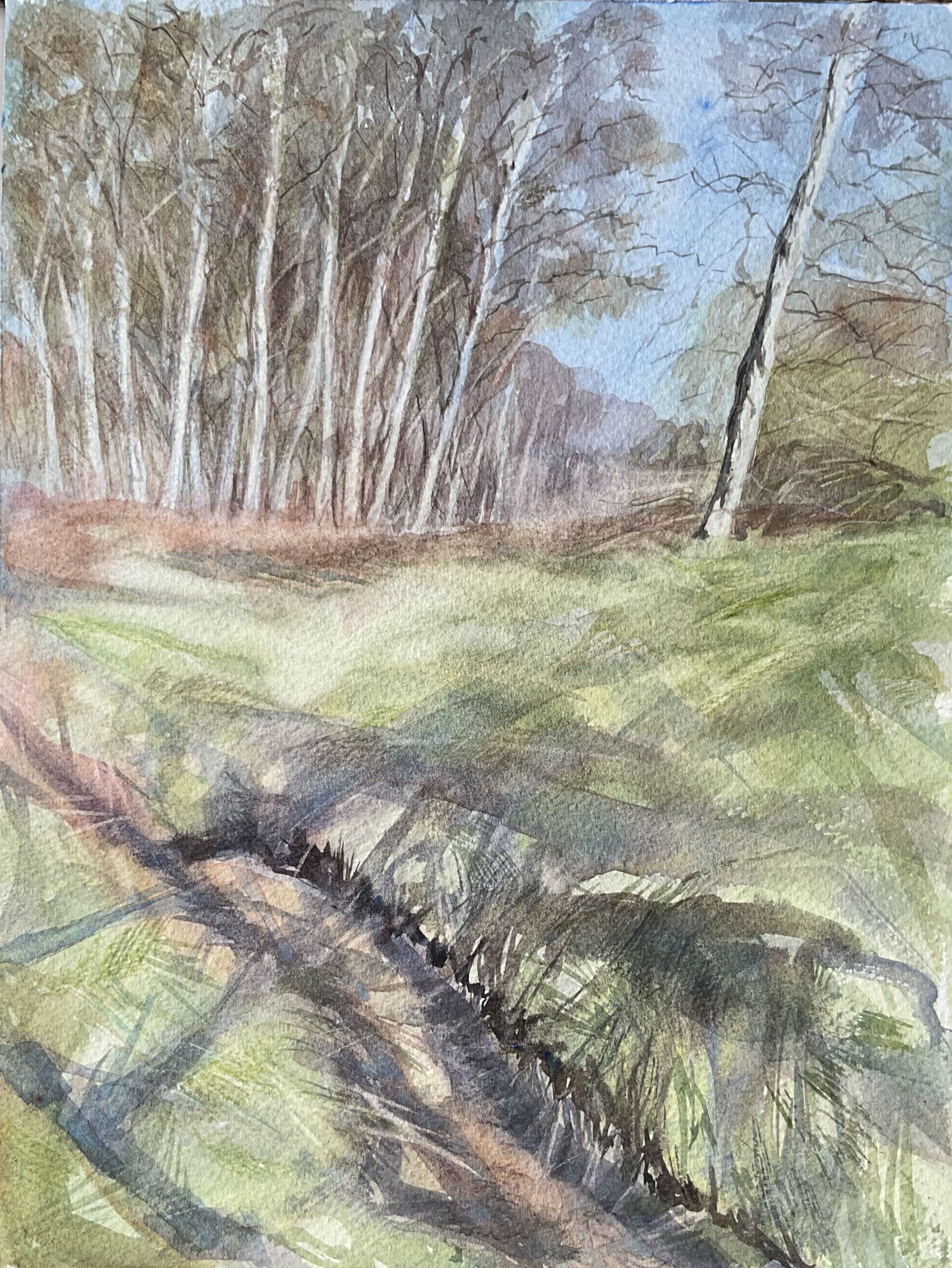 Oldacre brook, Cannock Chase by Sarah Crouch