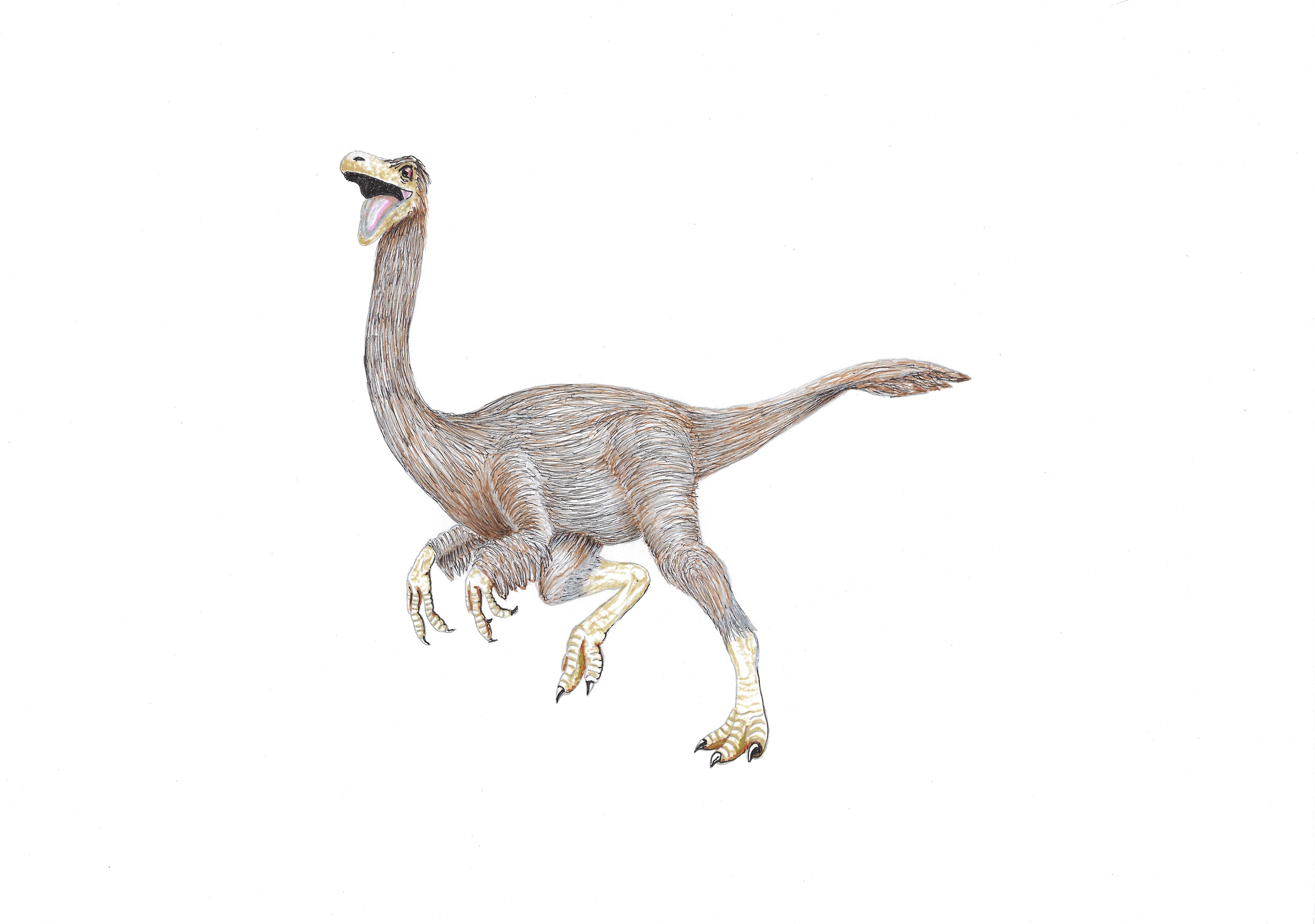 GALLIMIMUS by peter winn