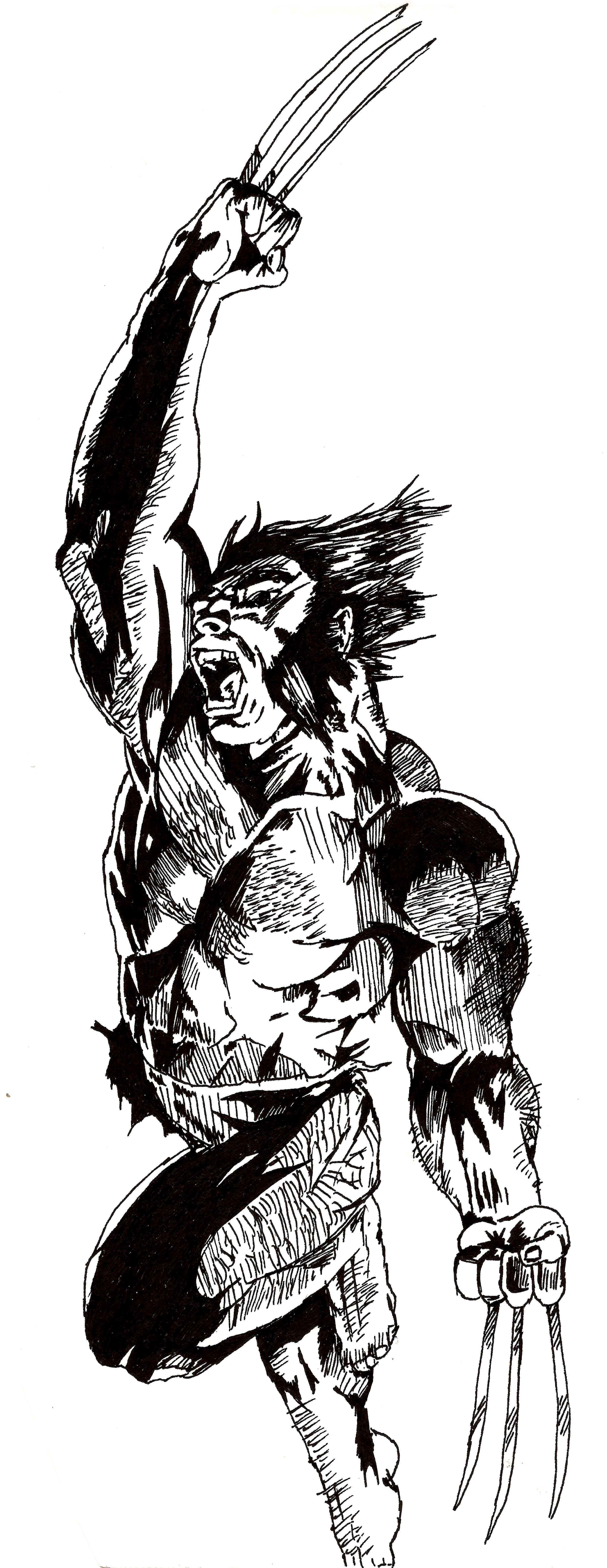 Wolverine by Luke Fretwell