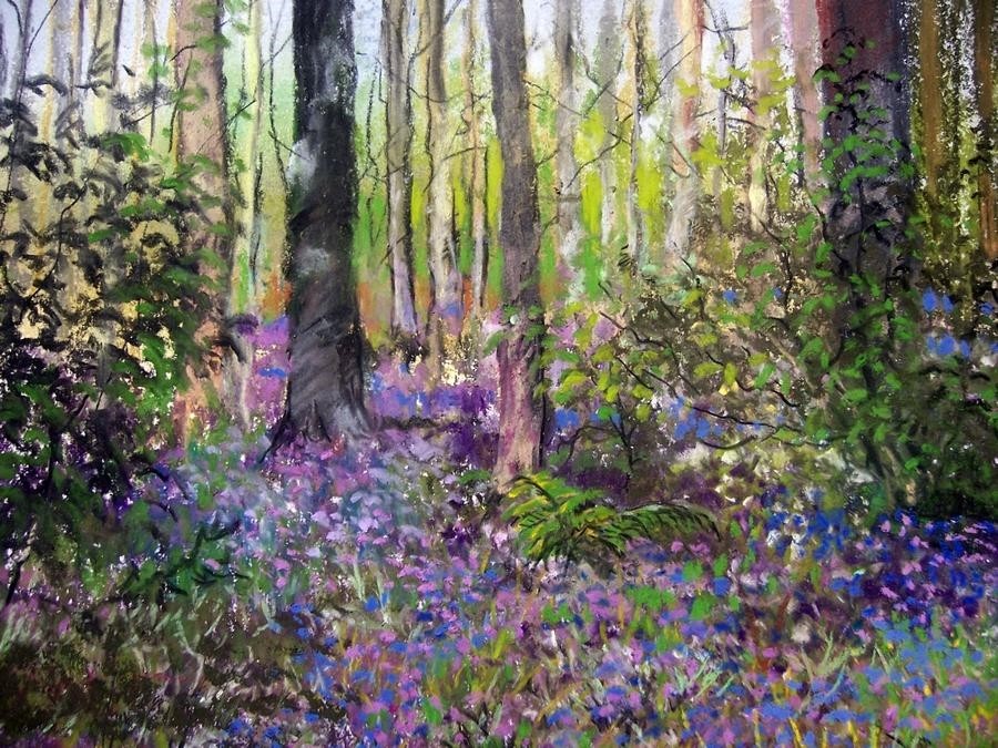 Woodland View by keith agar