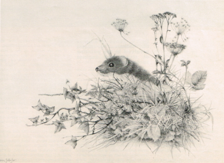 The medium of pencil by Brian Gallagher, Part 1