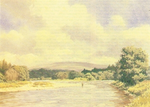 Watercolour painting guides for beginners, improvers and beyond.