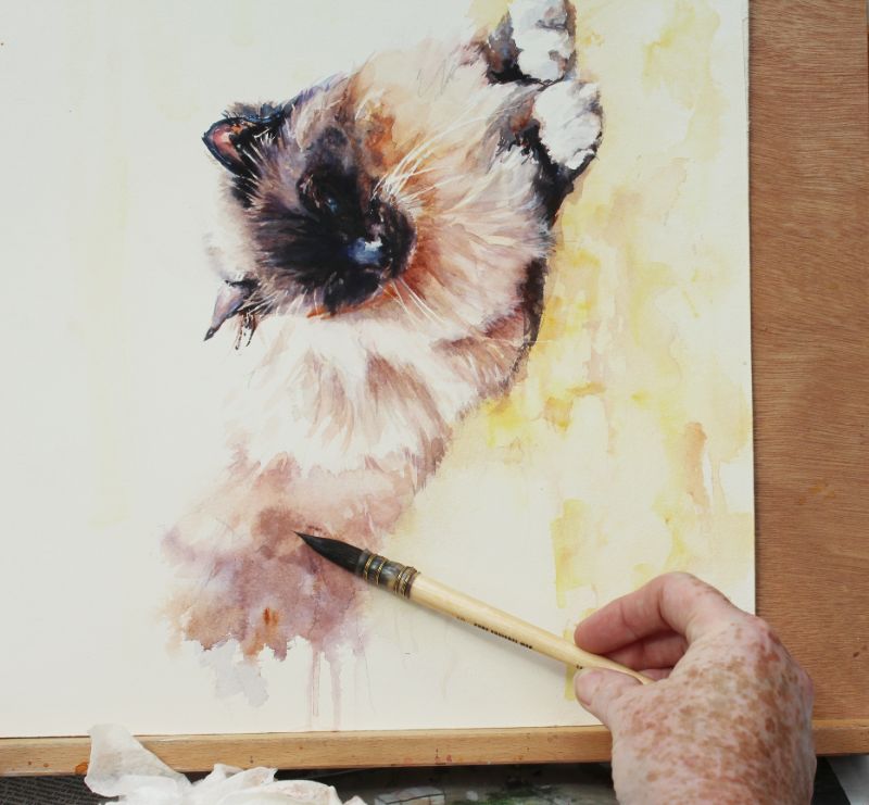 How draw and paint animals