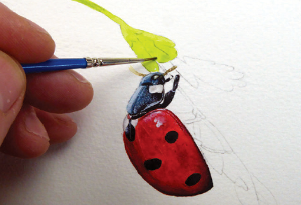 How to paint a ladybird