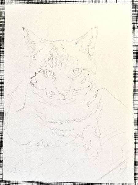 How to paint a watercolour pet portrait