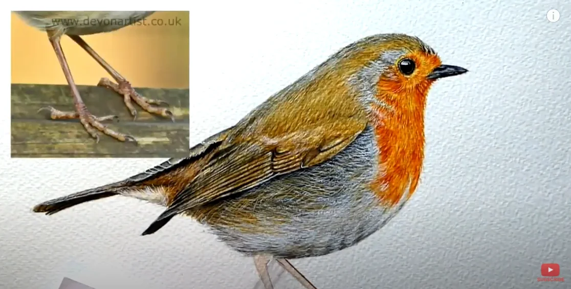 How to paint a robin in watercolour with Paul Hopkinson