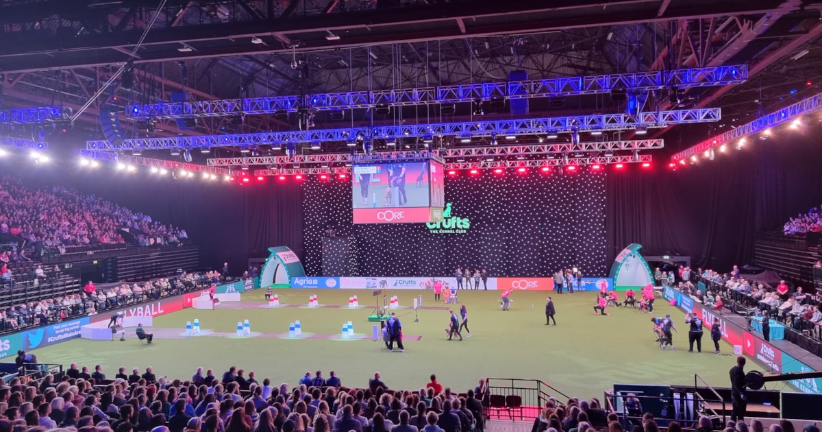 Paleo Ridge expands sponsorship of Tails We Win flyball team - Pet ...