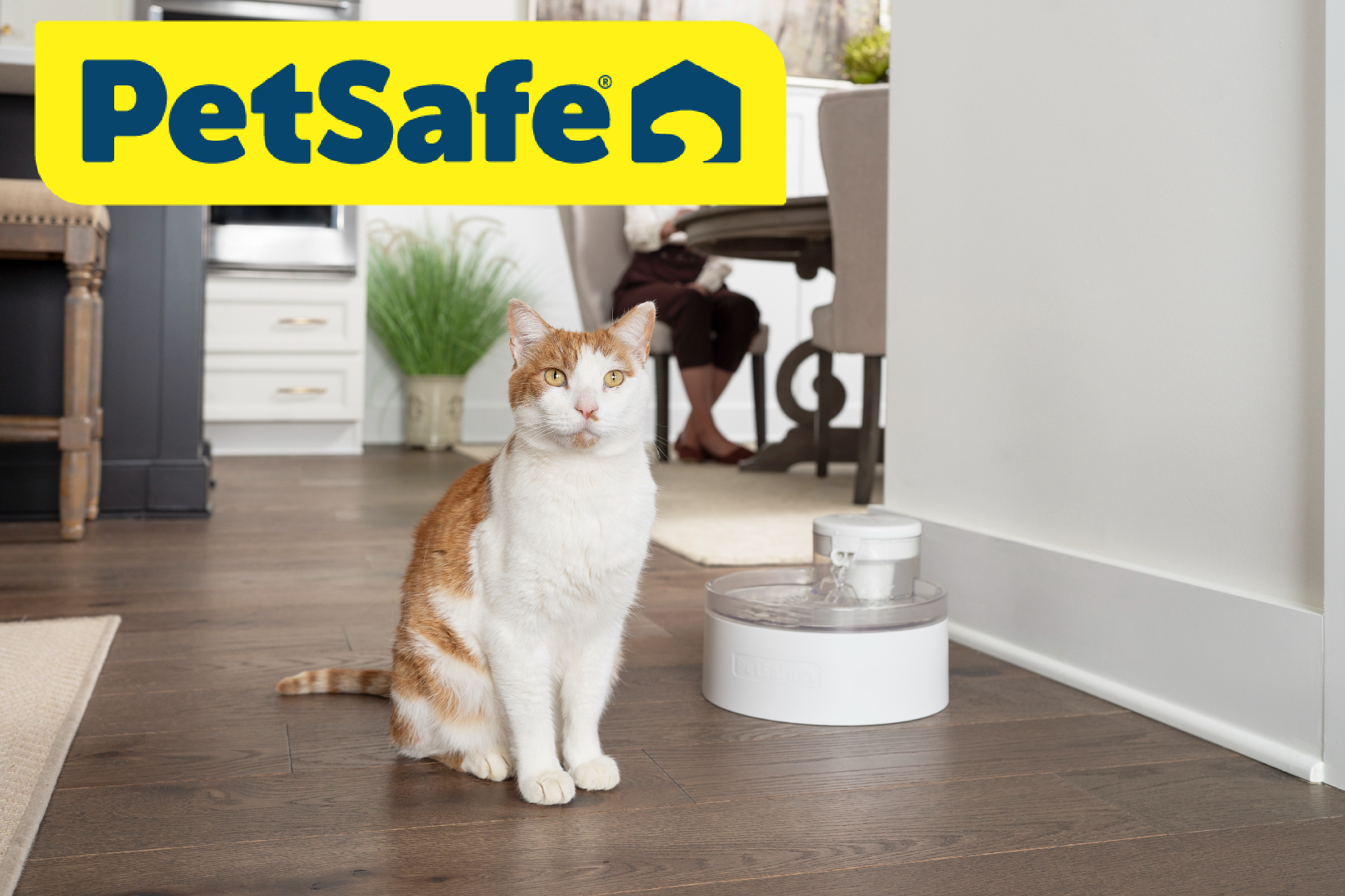 PetSafe® unveils new brand identity and range additions - Pet Product ...