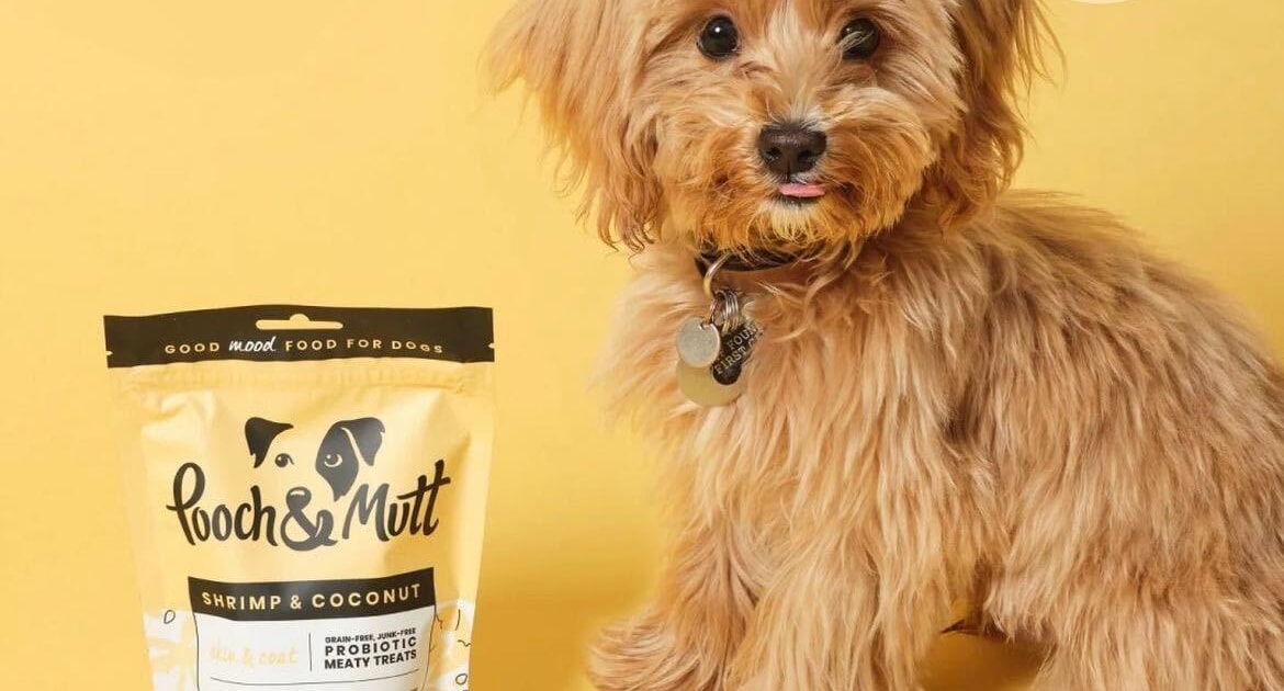 Pooch & Mutt joins Cheddar to deliver healthy cashback for your furry ...