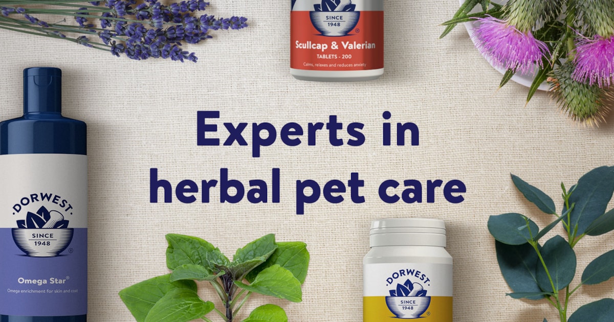 Dorwest Herbs appoints new trade account manager - Pet Product Marketing