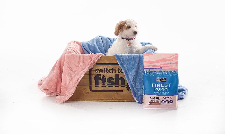 Fish4Dogs introduce second flavour to Finest Puppy Complete Food - Pet ...