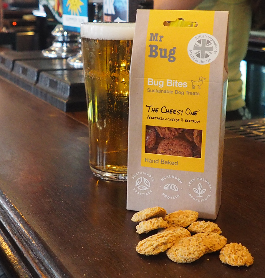 Mr Bug to push nutritious bug bites into dog-friendly establishments in ...
