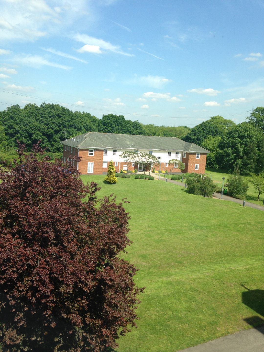 A day at the Purcell School | Pianist