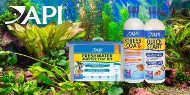 We've teamed up with the API® brand to give away a bundle of aquarium ...
