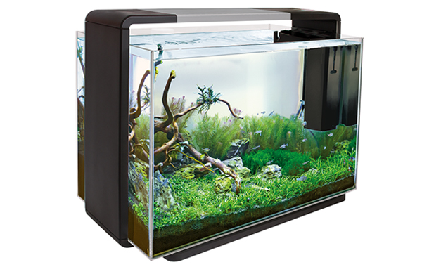 Win a Superfish Home 110 aquarium kit! - Practical Fishkeeping