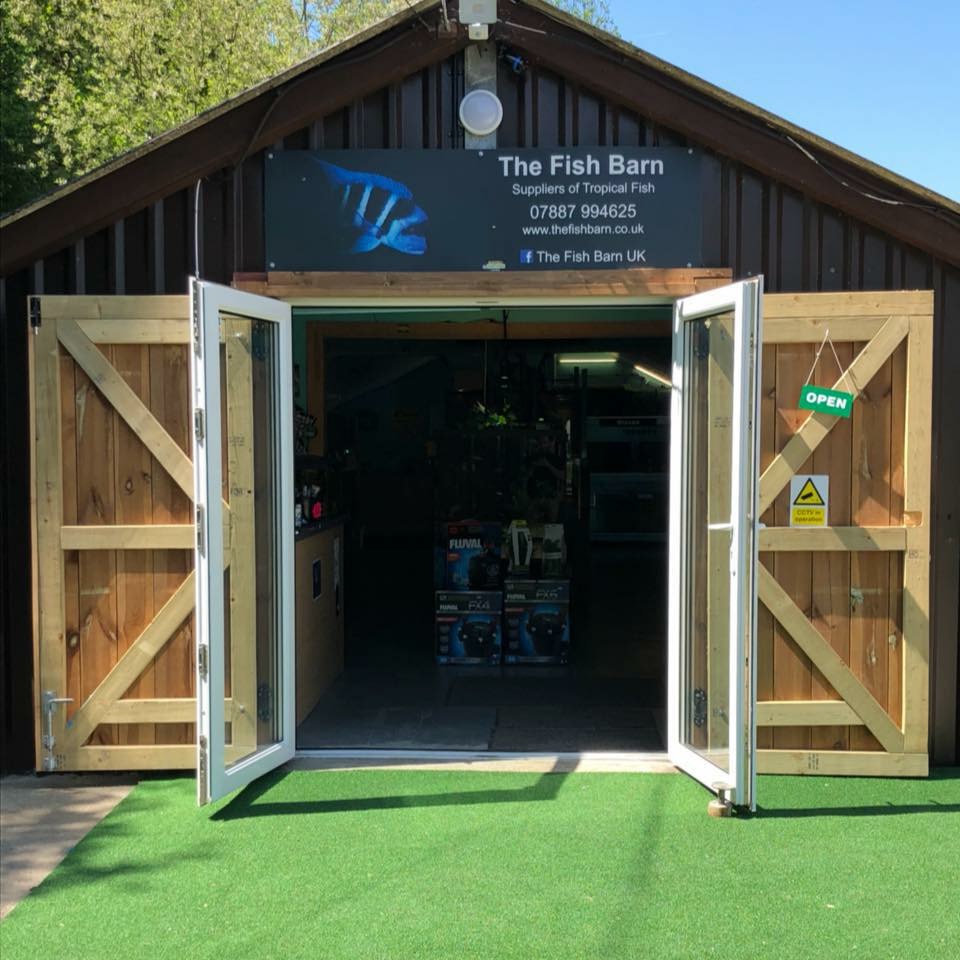 The Fish Barn - Practical Fishkeeping