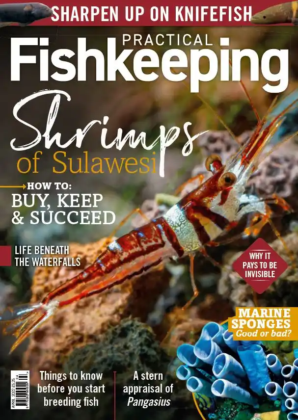 Practical Fishkeeping