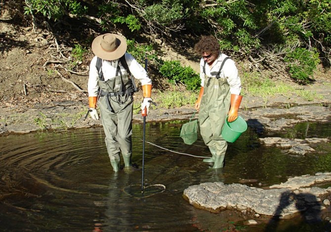 What is electrofishing? - Practical Fishkeeping