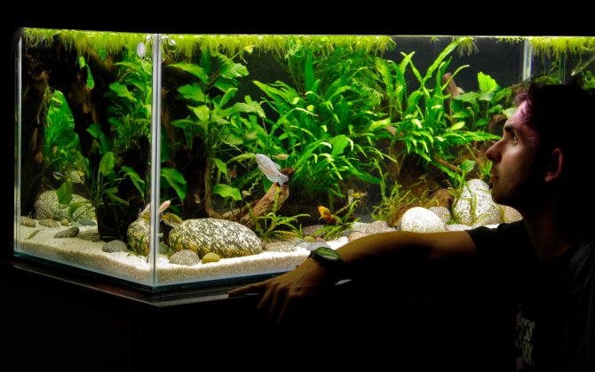 Celebrity tank makeover - Practical Fishkeeping